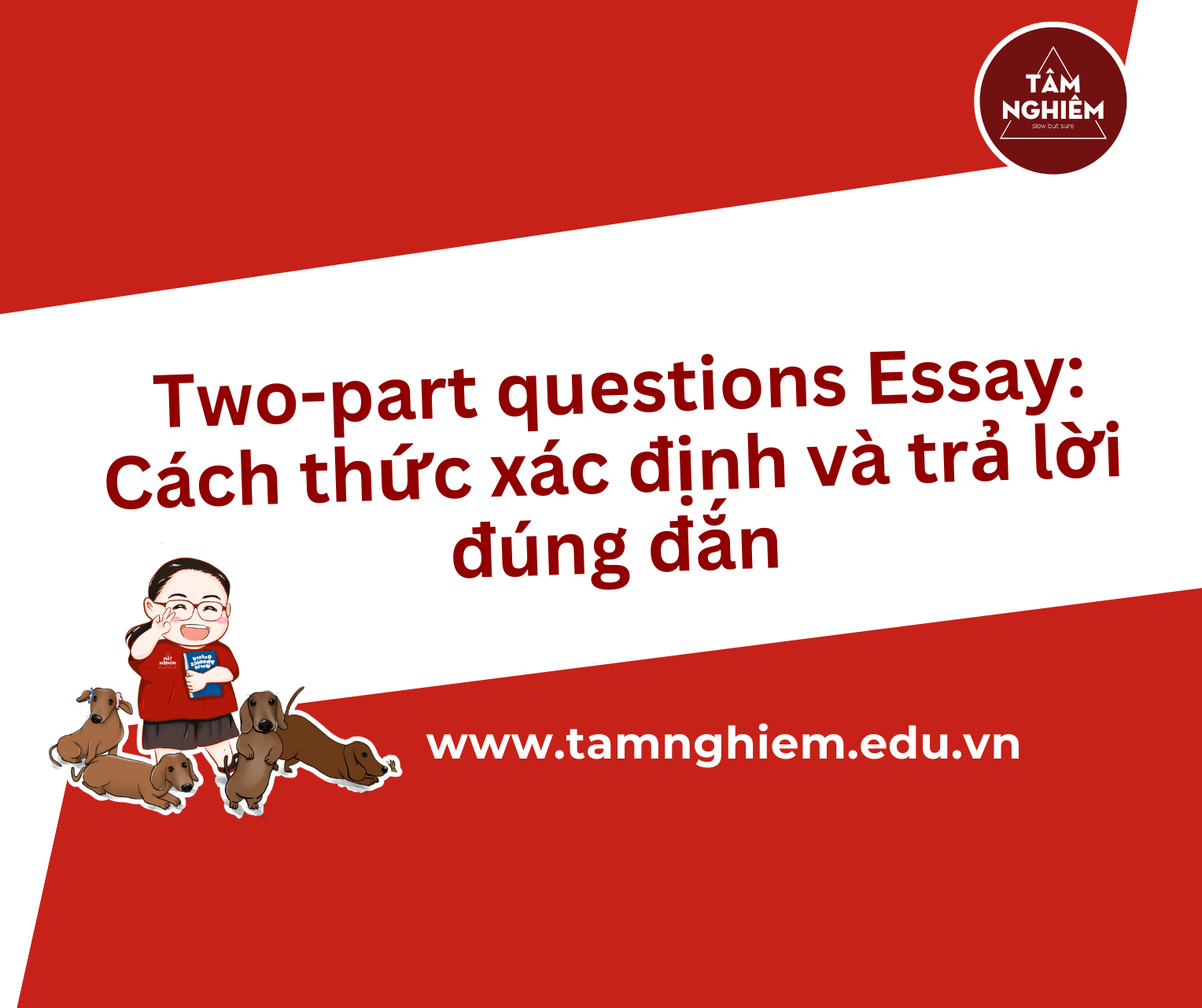 Two-part questions Essay: Cách thức xác điịnh và trả lời đúng đắn ...